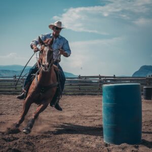 230+ Cowboy Team Names - Name My Team